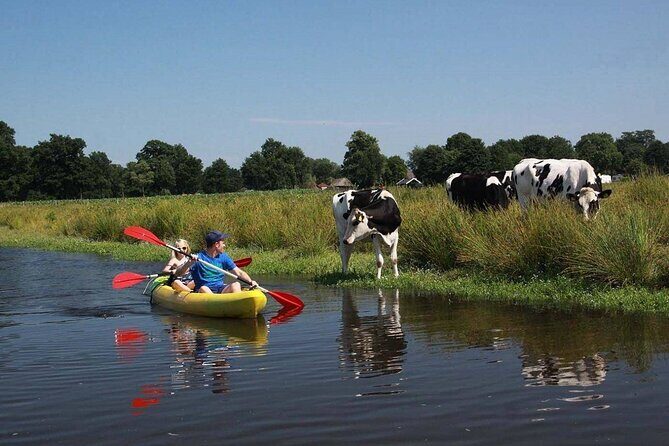Amsterdam Countryside Bike and Kayak Tour - Introduction