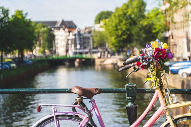Amsterdam: Countryside Bike Tour - Who Will Love This Tour?