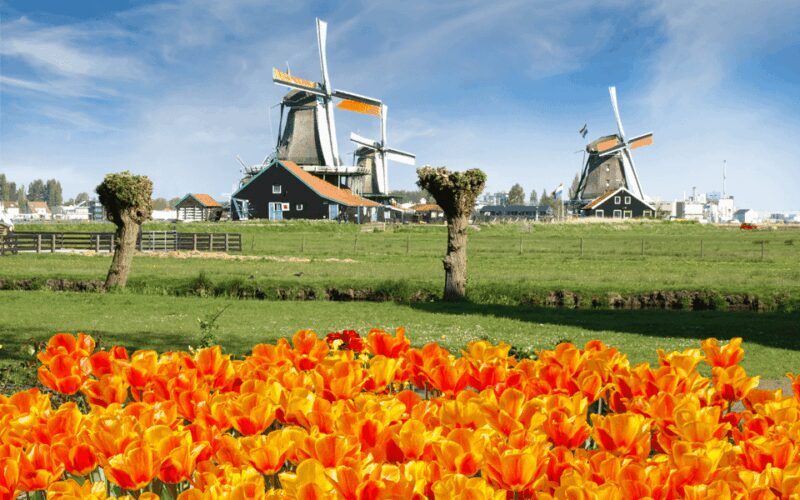 Amsterdam: Day Tour Keukenhof and Zaanse Schans Windmills - Key Points