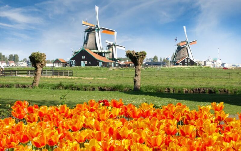 Amsterdam: Day Tour Keukenhof and Zaanse Schans Windmills - The Value: How Does It Stack Up?