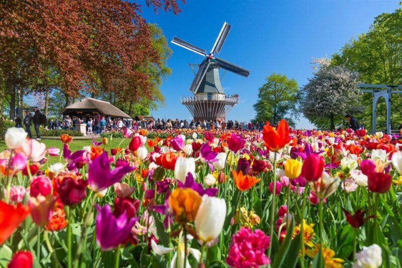Amsterdam: Day Tour Keukenhof and Zaanse Schans Windmills - The Sum Up: Is this Tour Right for You?
