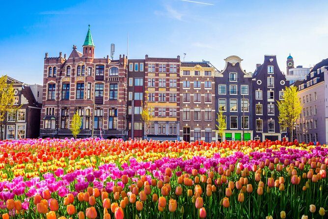 Amsterdam Day Trip from Brussels - What Travelers Love (And What To Keep in Mind)