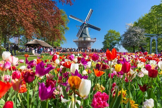 Amsterdam: Day trip to Tulip Farm, Keukenhof + Windmill Cruise - FAQ