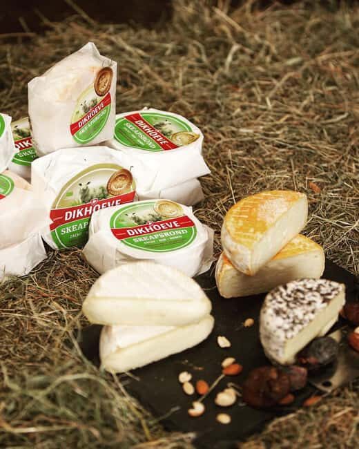 Amsterdam: E-Bike, Cheese, Windmill & Countryside Tour - Analyzing the Value