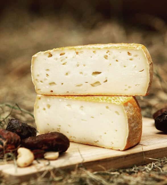 Amsterdam: E-Bike, Cheese, Windmill & Countryside Tour - The Sum Up