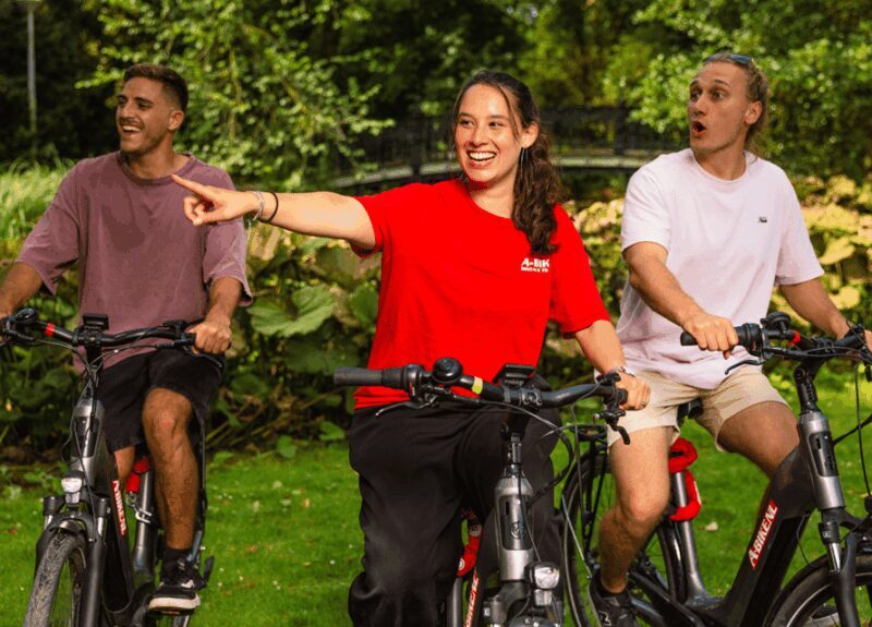 Amsterdam: E-Bike Sightseeing Tour - Who Will Love This Tour?