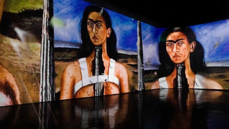 Amsterdam: Frida Kahlo Immersive & Photo Exhibition - The Experience: What to Expect from the Exhibition