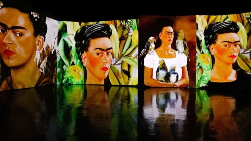 Amsterdam: Frida Kahlo Immersive & Photo Exhibition - The Pros and Cons