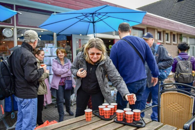 Amsterdam: Giethoorn and Zaanse Schans Windmills Day Tour - The Comfort and Convenience of the Tour