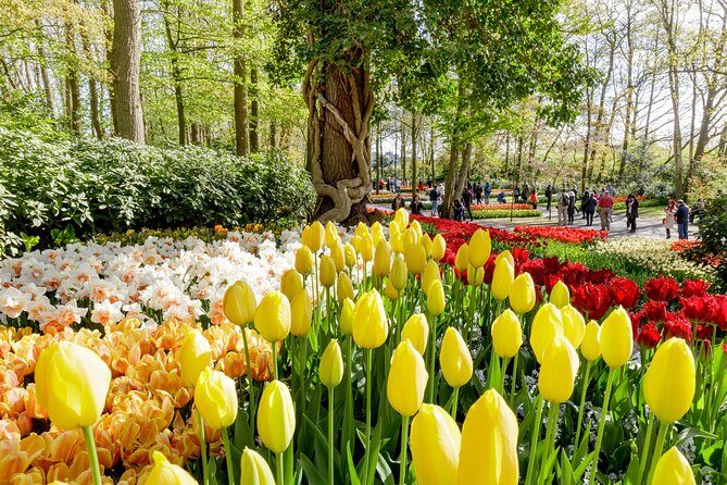 Amsterdam: Half Day Guided Keukenhof Tulip Garden Tour - Key Points