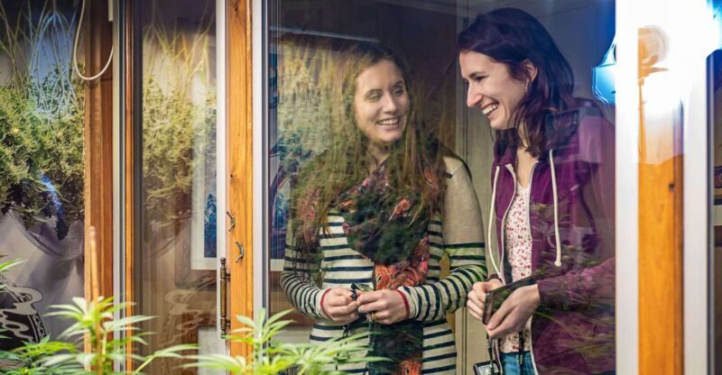 Amsterdam: Hash, Marihuana, and Hemp Museum Entry Ticket - A Practical Overview of the Hash, Marihuana, and Hemp Museum