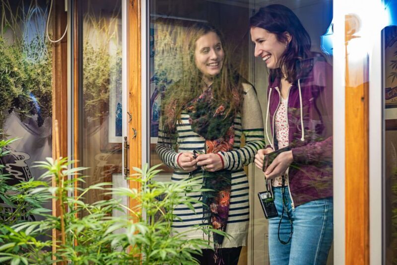 Amsterdam: Hash, Marihuana, and Hemp Museum Entry Ticket - Final Thoughts