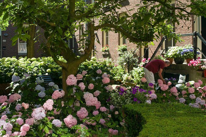Amsterdam: Hidden Gems Walking Tour in German - Who Should Book This Tour?