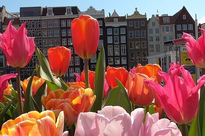 Amsterdam Highlights and Hidden Gems Walking Tour with Fun Guide - Practical Details & What to Expect