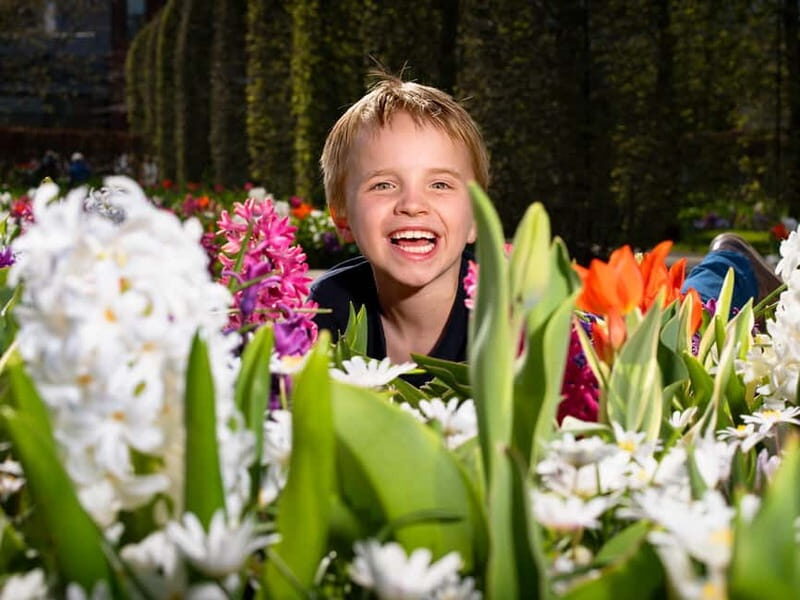 Amsterdam: Keukenhof Entry & Shuttlebus with Flexible Return - The Flexibility: Why It Matters