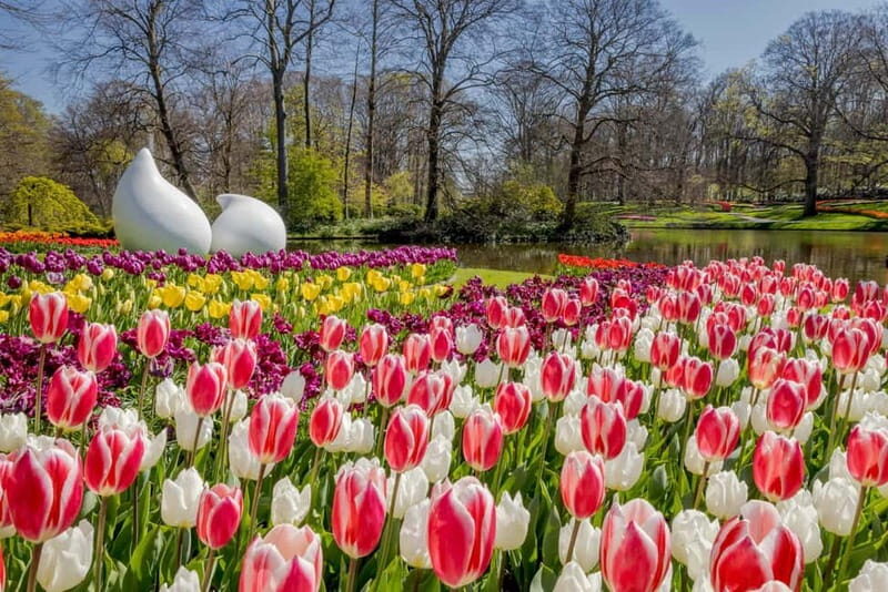 Amsterdam: Keukenhof Entry & Shuttlebus with Flexible Return - Practical Tips for Your Visit