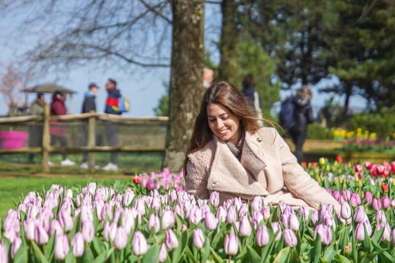 Amsterdam: Keukenhof Entry & Shuttlebus with Flexible Return - The Sum Up