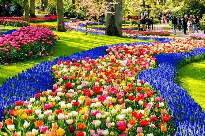 Amsterdam : Keukenhof FlowerFarm Privatetour Skip-The-Line ticket - Authentic Experiences and Honest Insights