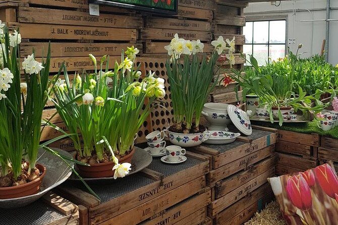 Amsterdam : Keukenhof FlowerFarm Privatetour Skip-The-Line ticket - Who Should Book This Tour?