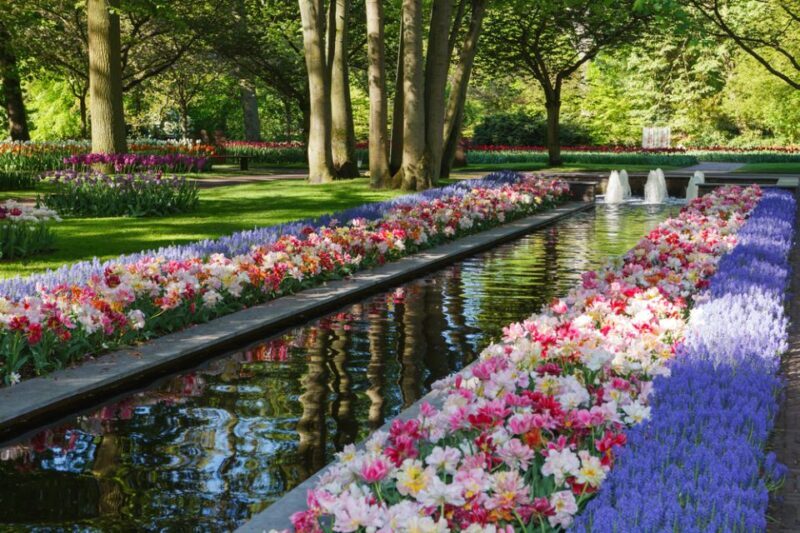 Amsterdam: Keukenhof Gardens Guided Tour Spanish and English - A Closer Look at the Keukenhof Guided Tour Experience