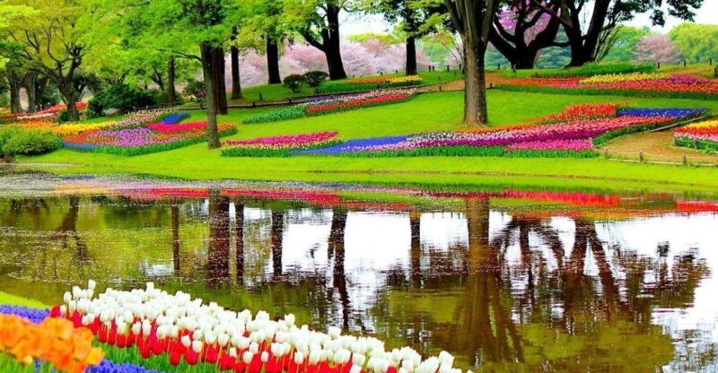 Amsterdam: Keukenhof Gardens Private Sightseeing Tour - FAQs
