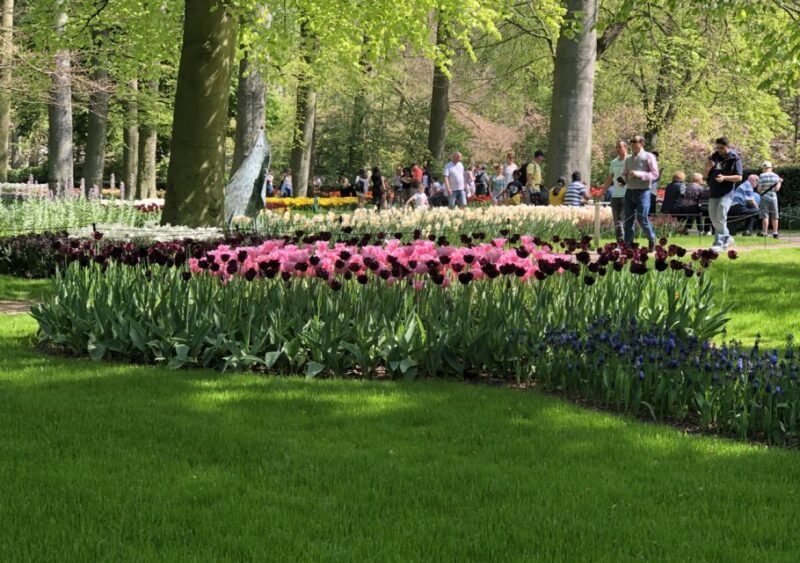 Amsterdam: Keukenhof Tulip Garden and Giethoorn Experience - Frequently Asked Questions