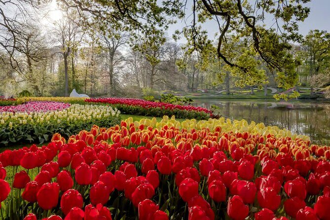 Amsterdam: Keukenhof, Zaanse Schans & Volendam Tour - Authentic Experiences and Highlights