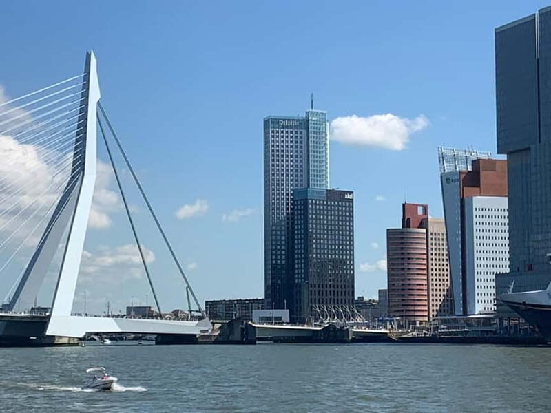 Amsterdam: Kinderdijk, Euromast, Delft and Den Haag Day Tour - Who Should Book This Tour?