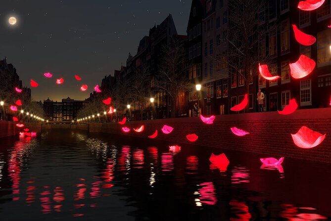 Amsterdam Light Festival: Canal Cruise + Bite & Unlimited Drinks - Who Should Book This Tour?