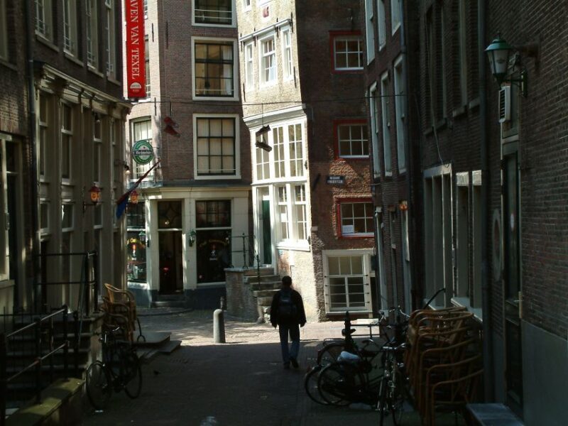 Amsterdam Old City Private Walking Tour - The Red Light District: A Closer Look