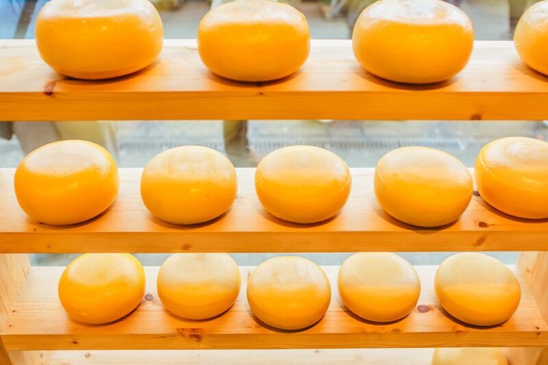 Amsterdam: Premium Henri Willig Cheese Tasting Experience - Practical Details and Tips