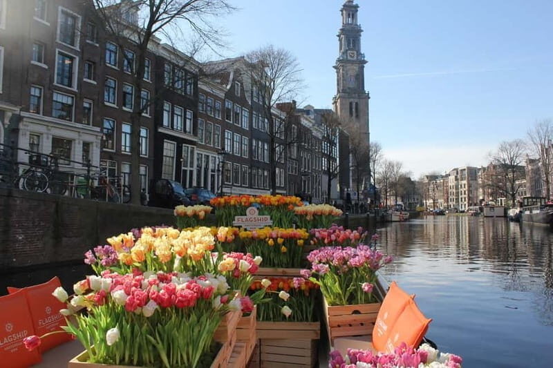 Amsterdam: Premium Tulip Boat Canal Tour - An In-Depth Look at the Tulip Boat Canal Tour