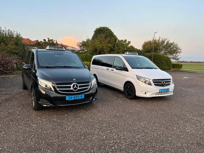 Amsterdam: Private Keukenhof and Free Tulip Tour - Key Points