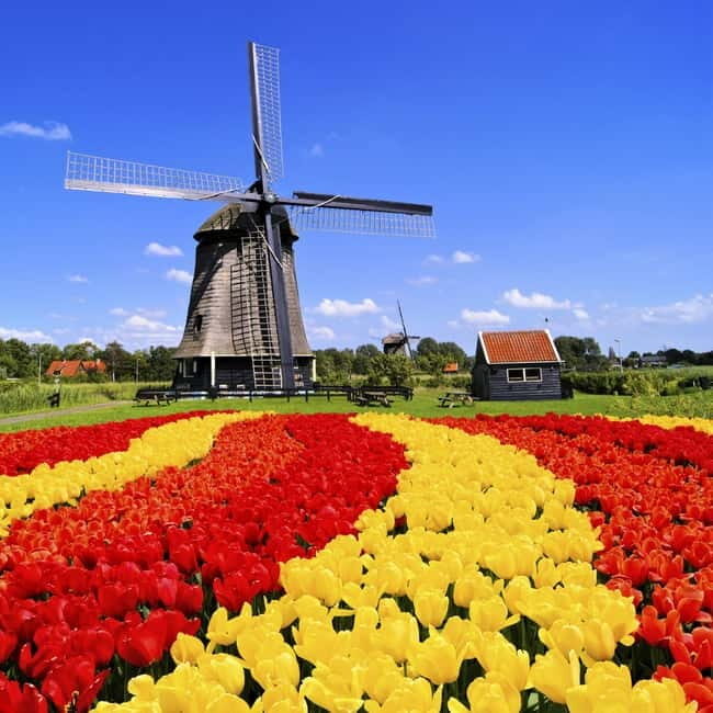Amsterdam: Private Keukenhof and Free Tulip Tour - A Closer Look at the Experience