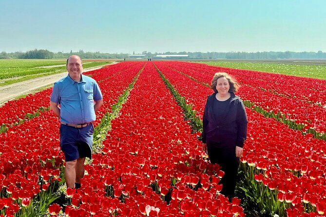 Amsterdam Private Tour to Keukenhof, Tulip Fields and Windmills - Authentic Insights from Reviewers