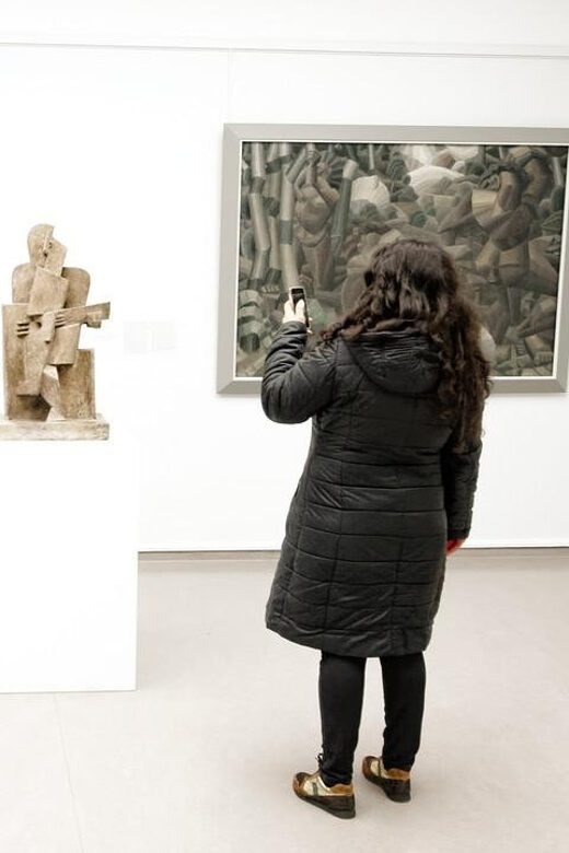 Amsterdam: Private tour to Kröller-Müller Museum - Who Will Love This Tour?