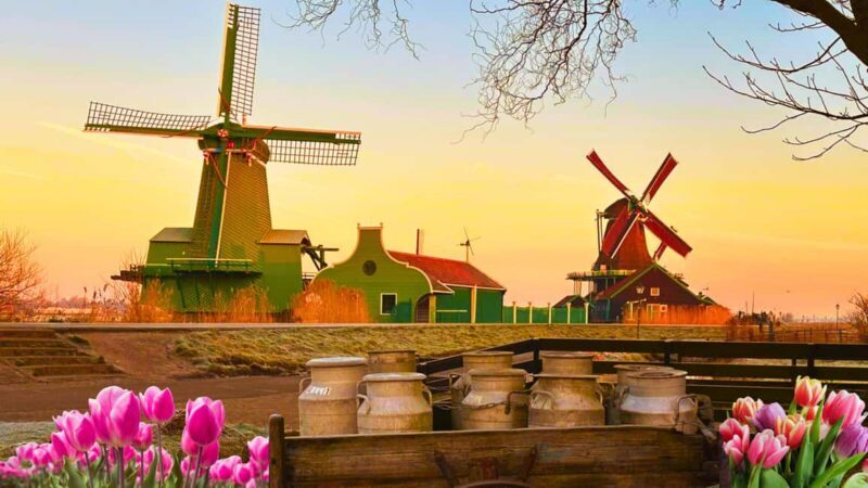 Amsterdam : Private Tour Zaanse Schans - Is It Worth the Price?