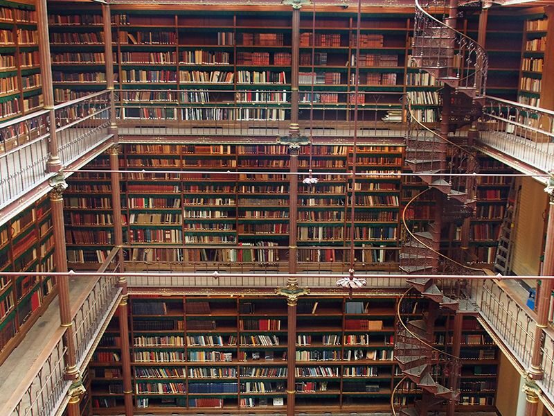 Amsterdam: Rijksmuseum Masterpieces Guided Small Group Tour - What Makes This Tour Stand Out?