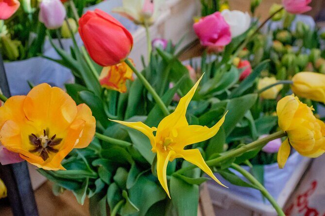 Amsterdam Sightseeing Tour + Hidden Gems + Tastings + PDF guide - FAQ