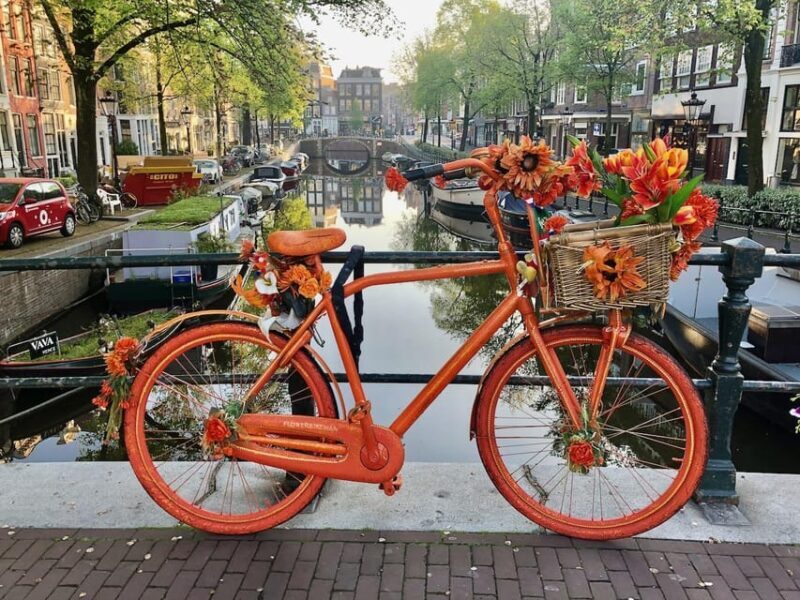 Amsterdam: Small Group Walking Tour with Fun Guide - Key Points