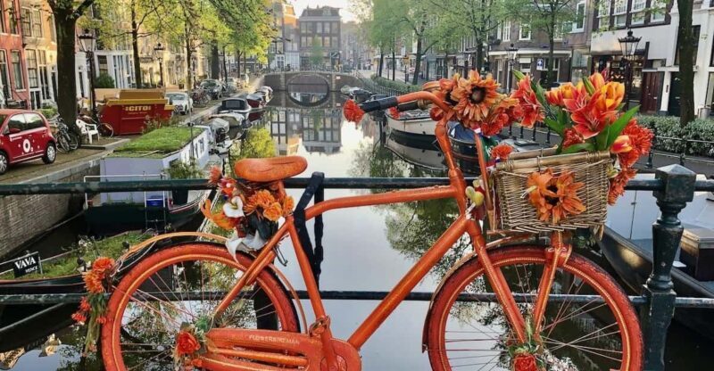 Amsterdam: Small Group Walking Tour with Fun Guide - In-Depth Look at the Tour Experience
