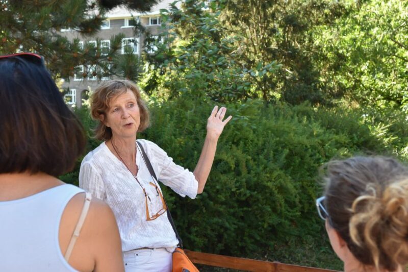 Amsterdam: The Life of Anne Frank Walking Tour - The Sum Up