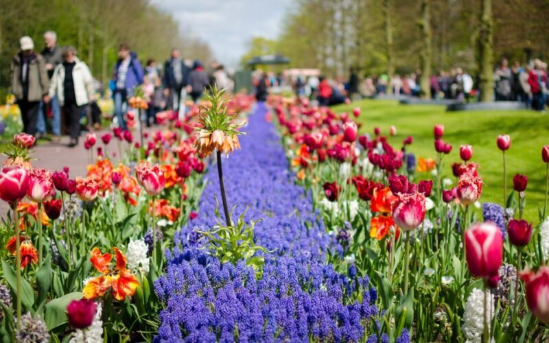 Amsterdam: Tour to Keukenhof Gardens with Windmill Cruise - FAQ