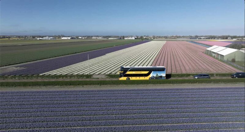 Amsterdam: Tulip Farm Visit, Keukenhof, and Windmill Cruise - FAQ