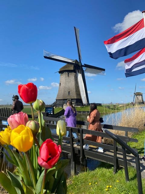 Amsterdam: Tulip Fields Day Tour with Lunch & Windmill - Amsterdam: Tulip Fields Day Tour with Lunch & Windmill