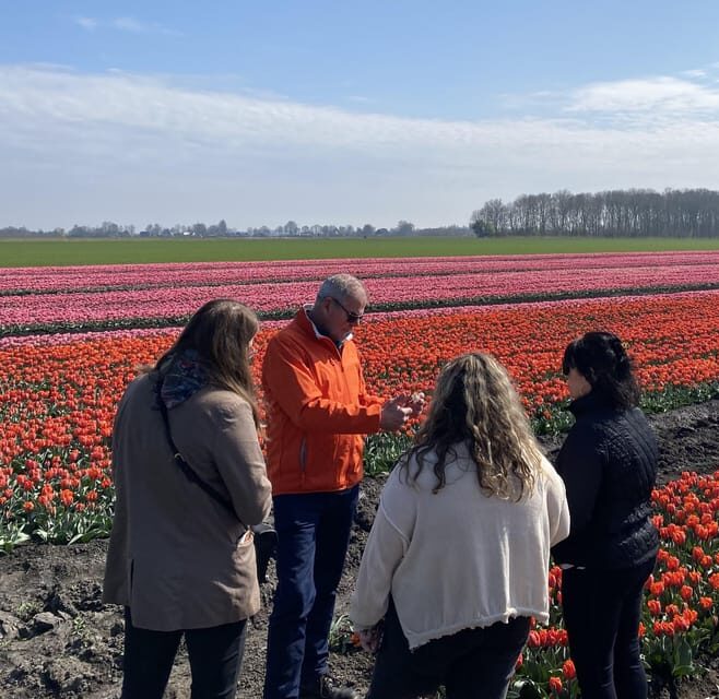 Amsterdam: Tulip Fields Day Tour with Lunch & Windmill - The Small Group Experience