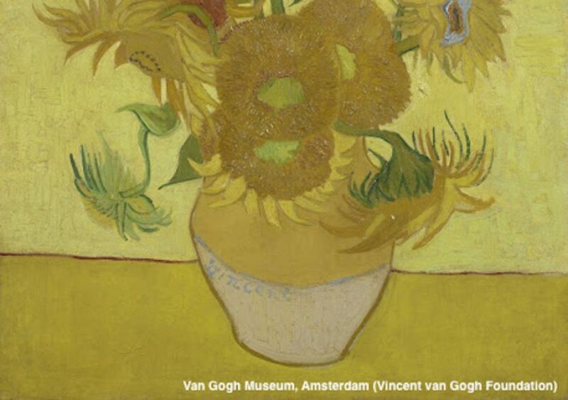 Amsterdam: Van Gogh Museum Guided Tour with Entry - Who Will Love This Tour?