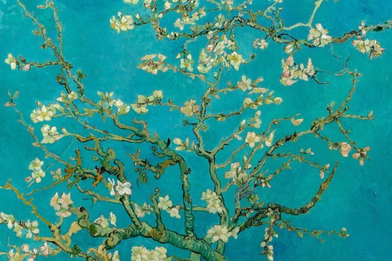 Amsterdam: Van Gogh Museum Ticket and City Canal Cruise - The Itinerary Breakdown