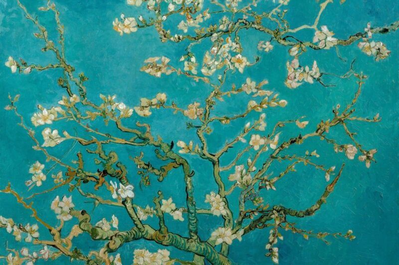 Amsterdam: Van Gogh Museum Ticket & Canal Cruise - Who Will Love This Experience?