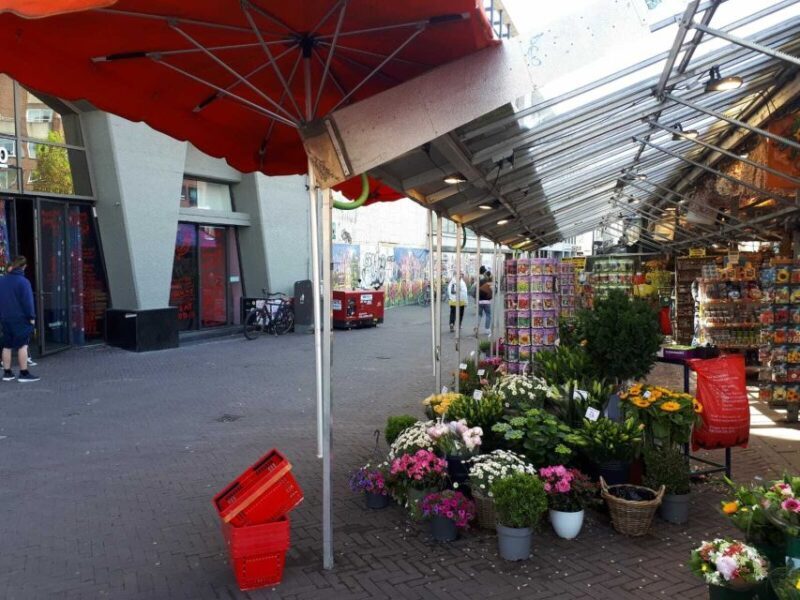 Amsterdam Walking Tour and Canal Cruise - What Makes This Tour Stand Out?